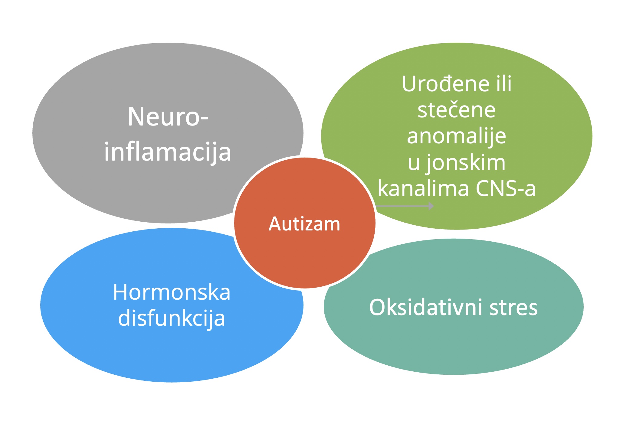 Urođene genetske mutacije kao jedan od uzroka autizma: značaj jonskih ...